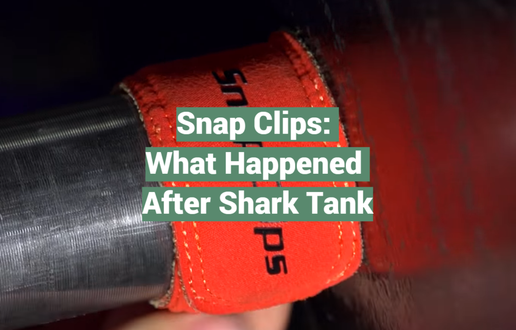 Snap Clips: What Happened After Shark Tank - SharkTankWiki