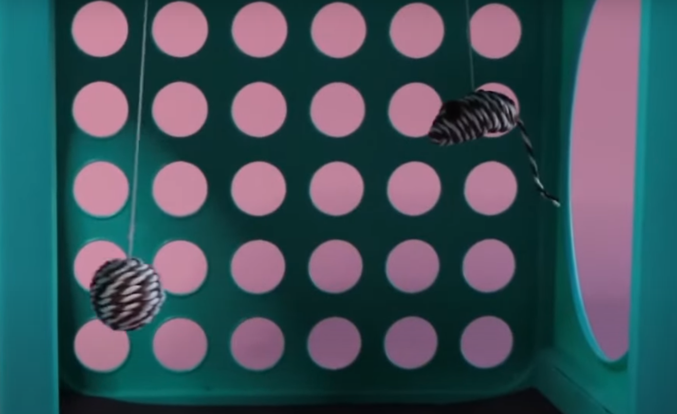 Kitty Kasas: What Happened After Shark Tank - SharkTankWiki