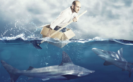 Shark Tank Pitch Templates and Examples - SharkTankWiki